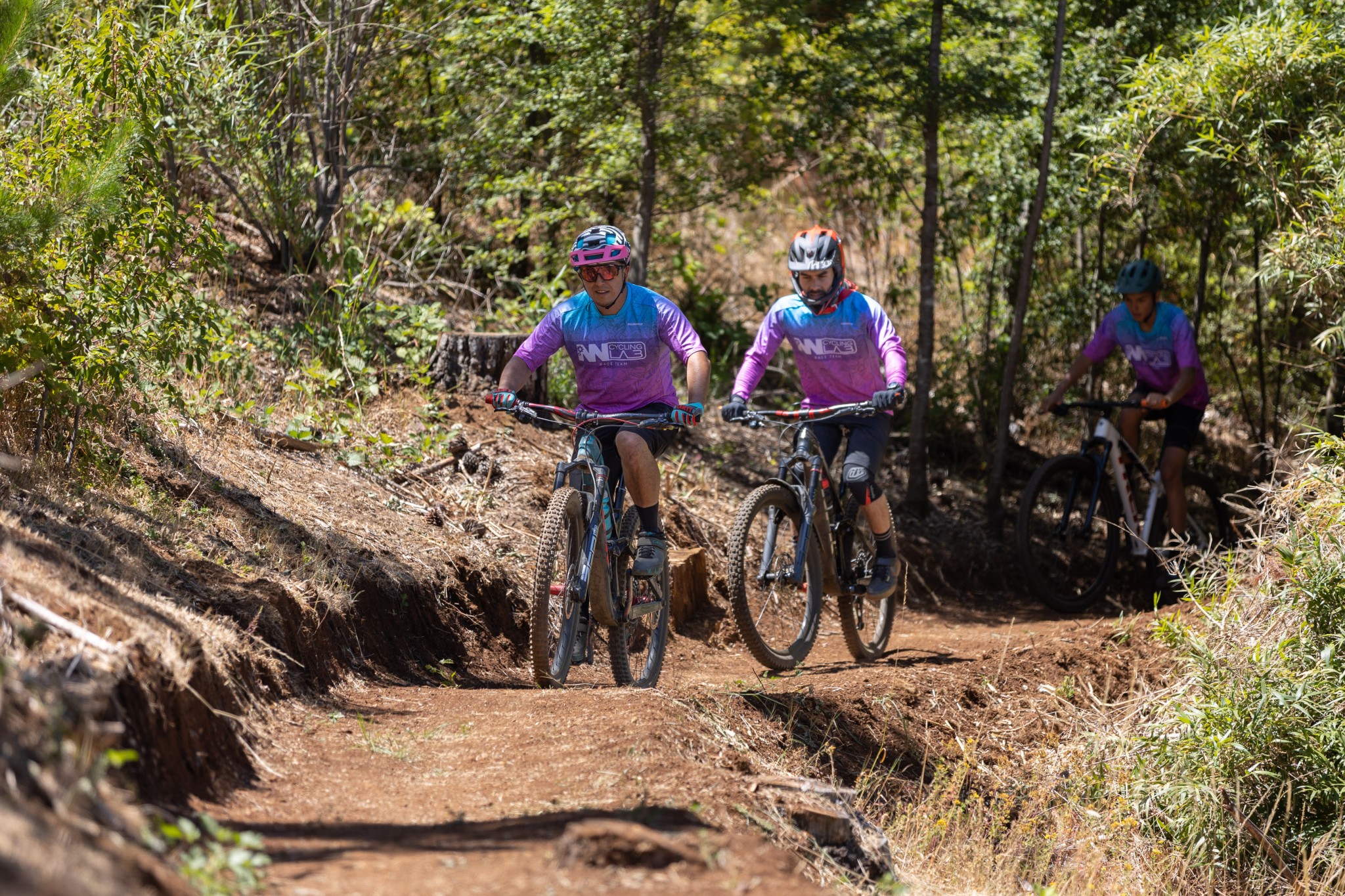 CMPC inaugura Bosque Vivo, proyecto que abre bosques a la comunidad