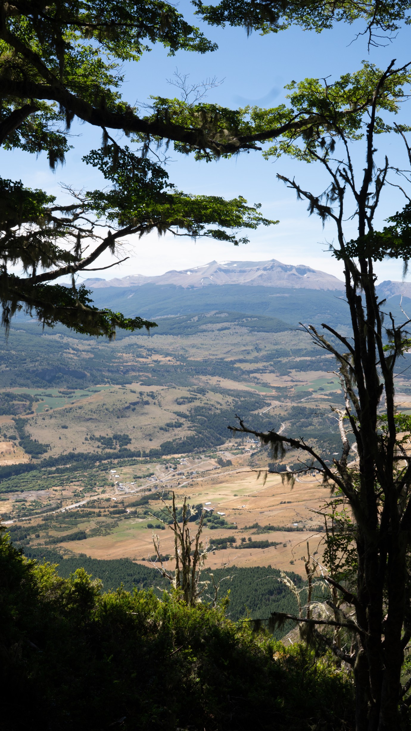 Parque CMPC El Cóndor