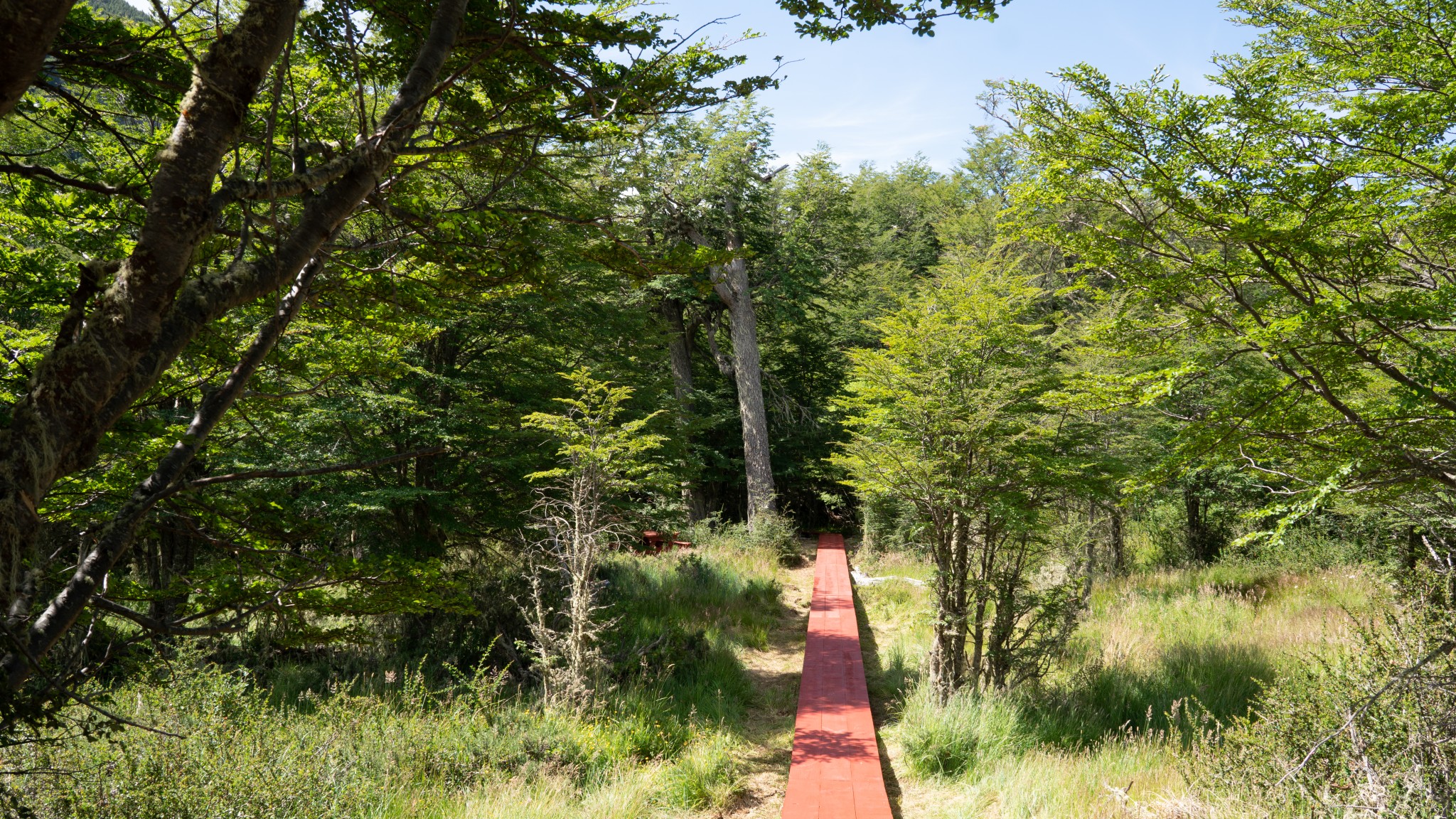 Parque CMPC El Cóndor